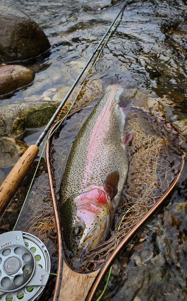 대물 야생 송어 플라이 낚시 (Big wild rainbow trout) : 네이버 블로그