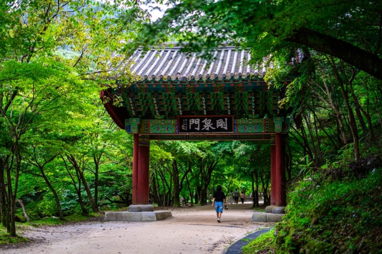 순창 강천산 맑은 물소리 벗삼아 여유롭게 맨발 산행 즐길수 있는 포근한 산 네이버 블로그