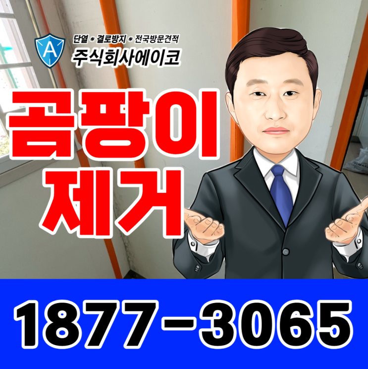 베란다 확장 결로 아파트 곰팡이 제거 단열문제 해결 전문업체 네이버 블로그