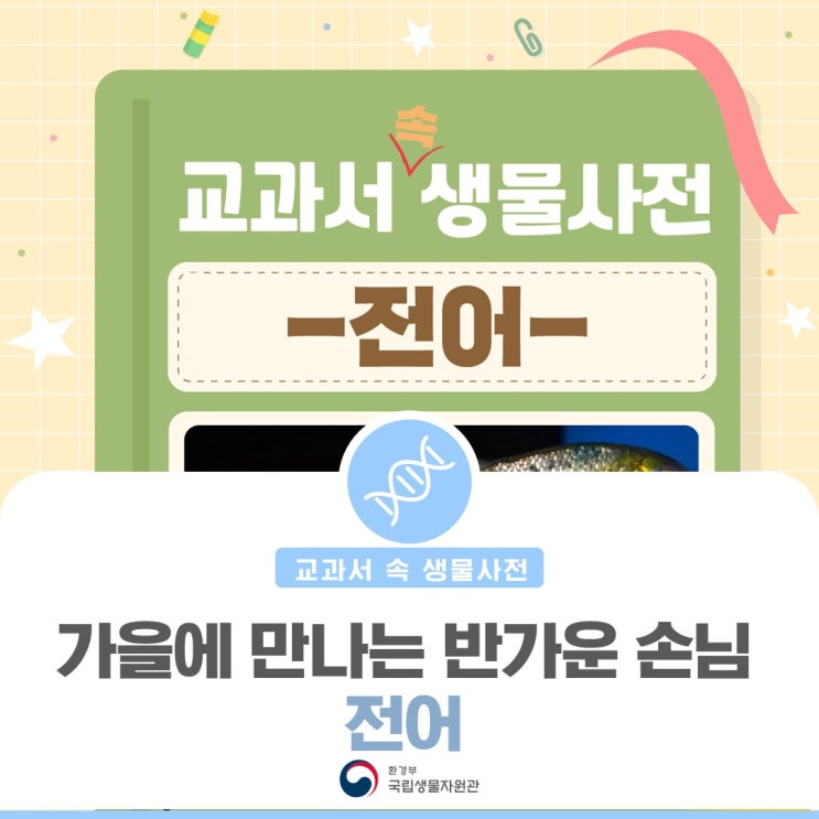 교과서 속 생물사전 가을에 만나는 반가운 손님 전어 네이버 블로그