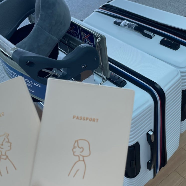 신혼여행 준비4 출국 전 해야할 일 전자세관신고서 작성 비자발급 데이터 로밍 해외 사용가능 카드 네이버 블로그