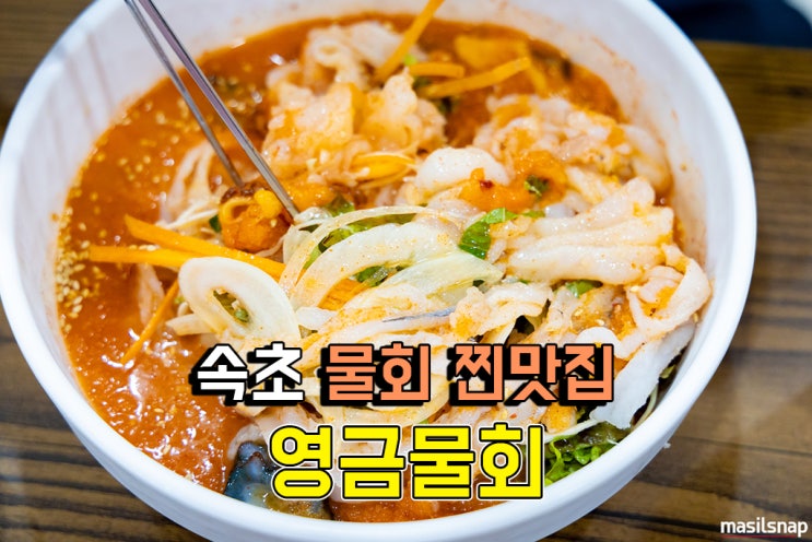 속초 물회 먹으러 영금물회 가서 오징어 순대 까지 네이버 블로그