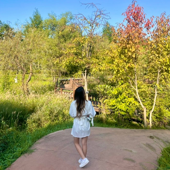 서울근교 드라이브 갈만한곳 안산 대부도 바다향기 수목원 단풍 나들이 피크닉 추천 여행지 입장료 주차장 네이버 블로그
