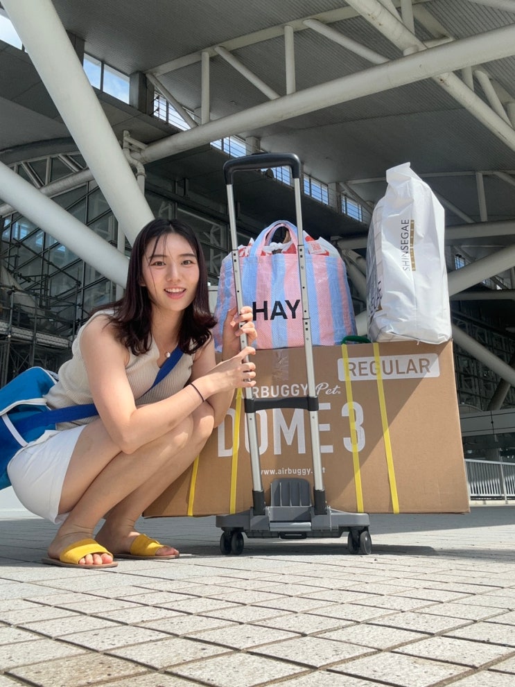 일본에서 에어버기 당일치기 구매 방법 직접 사온 후기 에어버기 후쿠오카점 에어버기 일본 가격 어반화이트 직구 방법 : 네이버 블로그