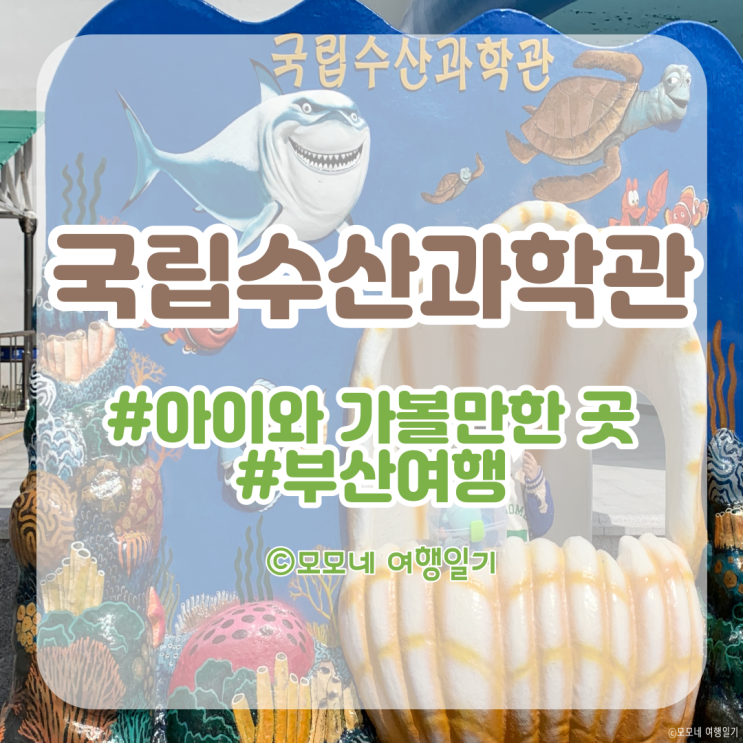 부산 아이와 가볼만한곳 기장 국립수산과학관 네이버 블로그