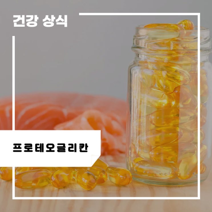 프로테오글리칸 효능 5가지 부작용 제품 추천 연어코연골프로테오클리칸 프리테오글리칸 콘드로이친 네이버 블로그