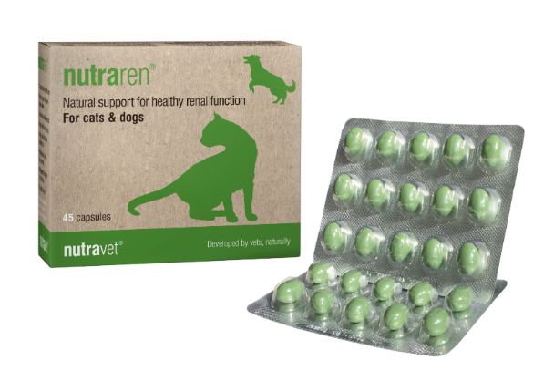 [서서동물의료센터] 하남미사동물병원 강아지/고양이 오메가3 - 뉴트라벳 뉴트라 렌 nutraren : 네이버 블로그