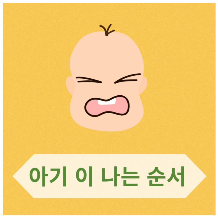 신생아 이빨 아기 이 날 때 아기 이 나는시기 순서 첫니 윗니 어금니 나는시기 네이버 블로그