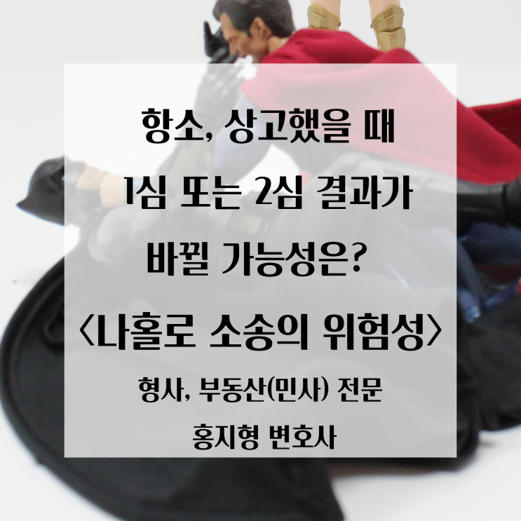 민사 형사 소송 변호사 2심항소심에서 1심 재판 결과가 바뀔 가능성이 있나요나홀로 소송의 위험성 네이버 블로그