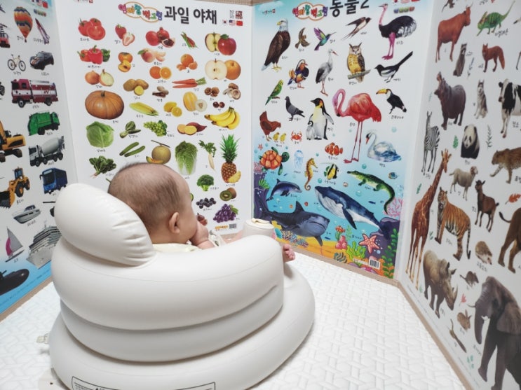 훈민출판사 엄마랑 아기 병풍 실사 완제품 세이팬 호환 엄마랑벽그림병풍 네이버 블로그