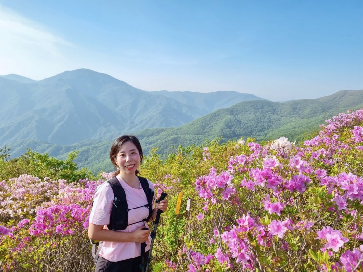 전라도 여행 지리산 서북능선 등산 코스 (성삼재 정령치 바래봉) : 네이버 블로그