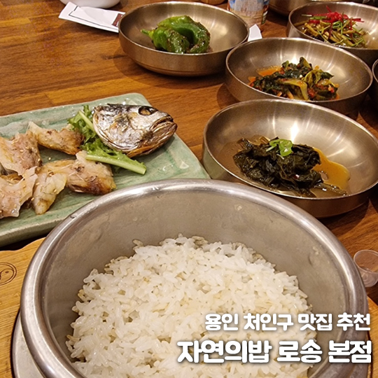 용인 처인구 맛집 추천 모임장소로 좋은 자연의밥 로송 본점 네이버 블로그