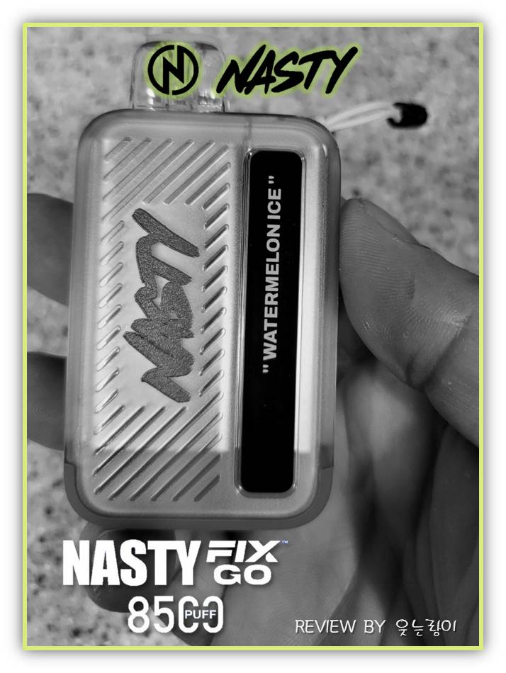 [NASTY] FIX GO 8500 PUFF 리뷰 : 네이버 블로그