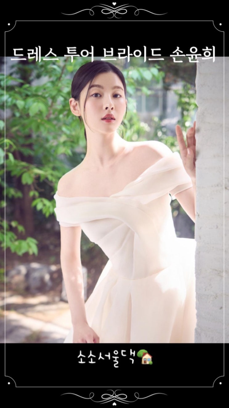드레스 투어 브라이드 손윤희 당일혜택 가격 후기견적공유 네이버 블로그
