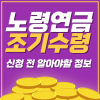 노령연금 조기수령 정말 이득일까 완벽 분석 및 신청 전 꼭 알아야 할 내용들 네이버 블로그