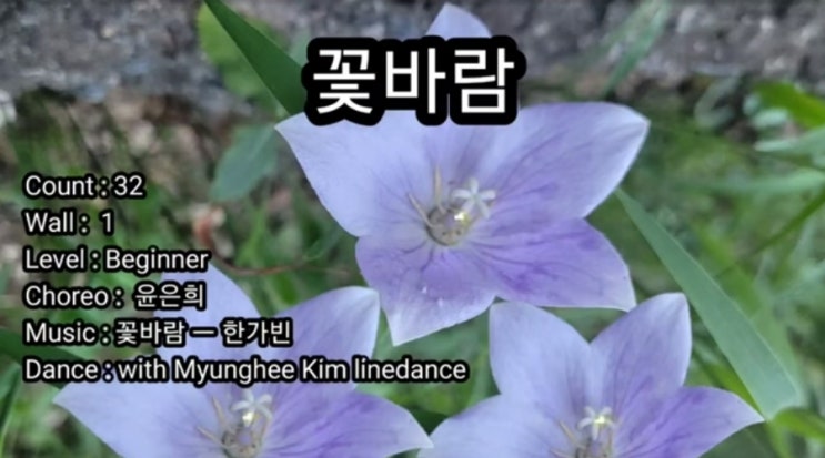 (가요라인댄스) 꽃바람 - 한가빈 : 네이버 블로그 (가요라인댄스) 꽃바람 - 한가빈 : 네이버 블로그