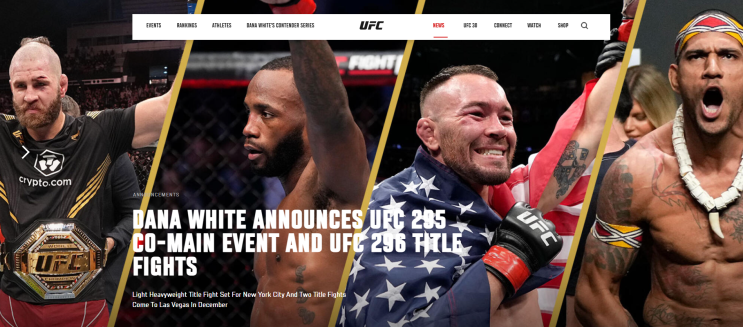 [UFC] 295대회 존존스와 미오치치 경기 외 라이트헤비급타이틀전 프로하즈카 vs 페레이라, UFC296 레온 에드워즈 vs ...