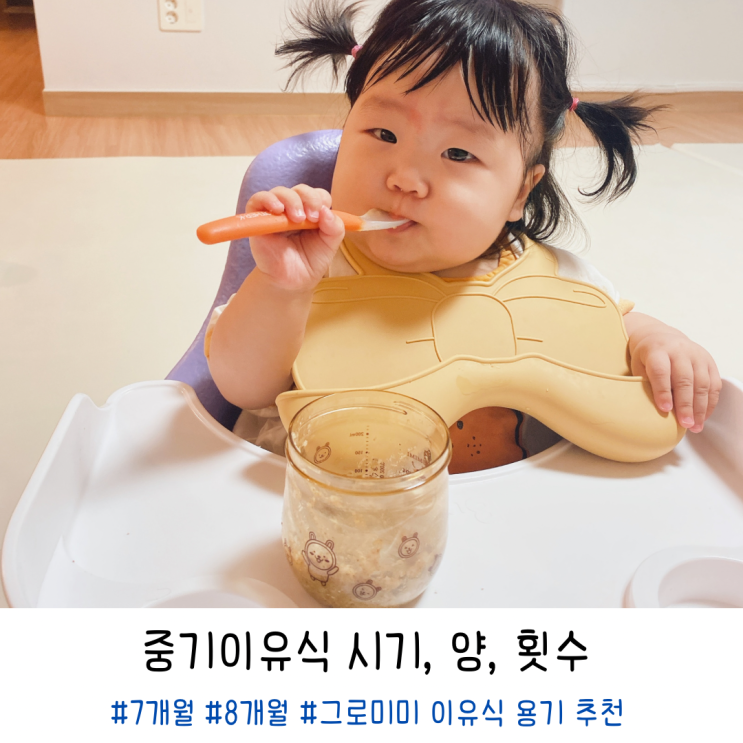 7개월 8개월 중기이유식 시기 양 횟수 외출용 이유식용기 네이버 블로그