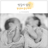 쌍둥이 임신 일란성 이란성 성별 세쌍둥이 네쌍둥이 낳는법 자연분만 가능할까 네이버 블로그