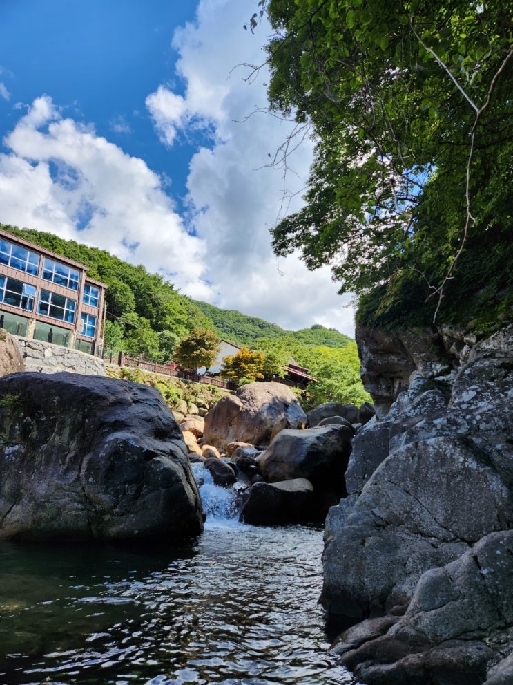 지리산계곡 느티나무산장 두번째이야기 : 네이버 블로그