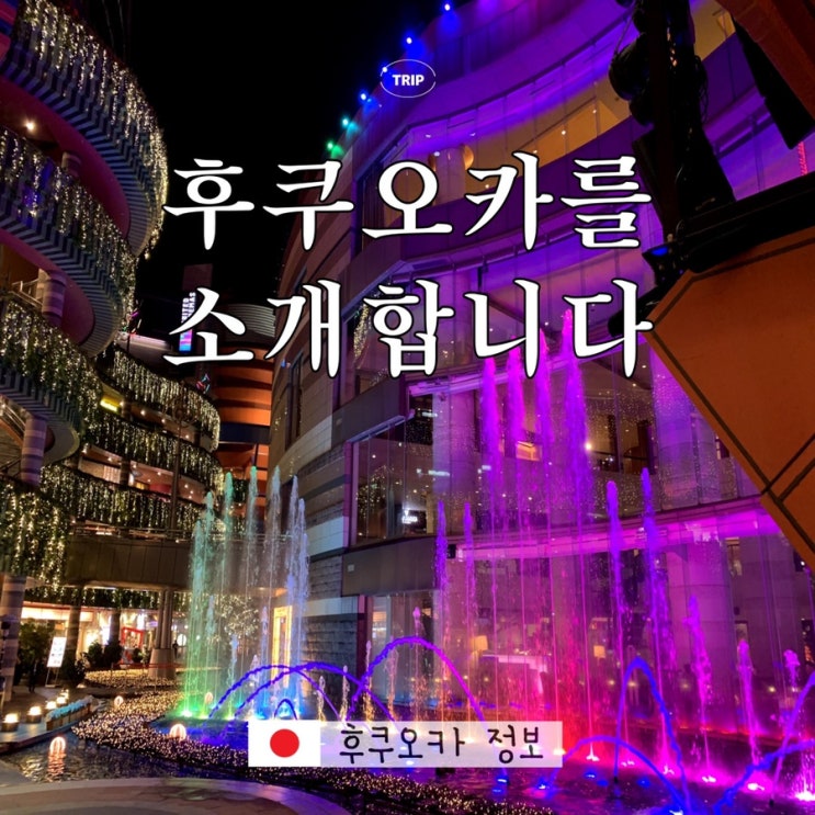 후쿠오카를 소개합니다 후쿠오카 여행지 후쿠오카 가볼만한곳 후쿠오카 근교 후쿠오카 근교여행 후쿠오카 여행코스