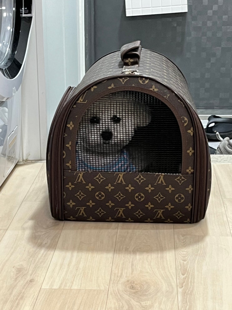 강원도춘천 애견동반맛집 추천 비가와서 갈까말까 엄청 고민했던 춘천 애견동반여행 춘천 별당막국수춘천로 81 네이버 블로그