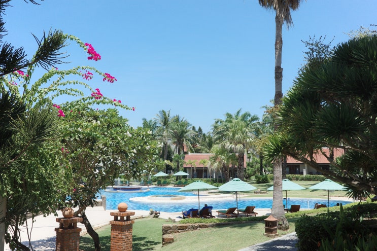 호이안 하루종일 있어도 좋은 팜가든 리조트 추천 (예약부터 퇴실까지 솔직 후기) : 네이버 블로그