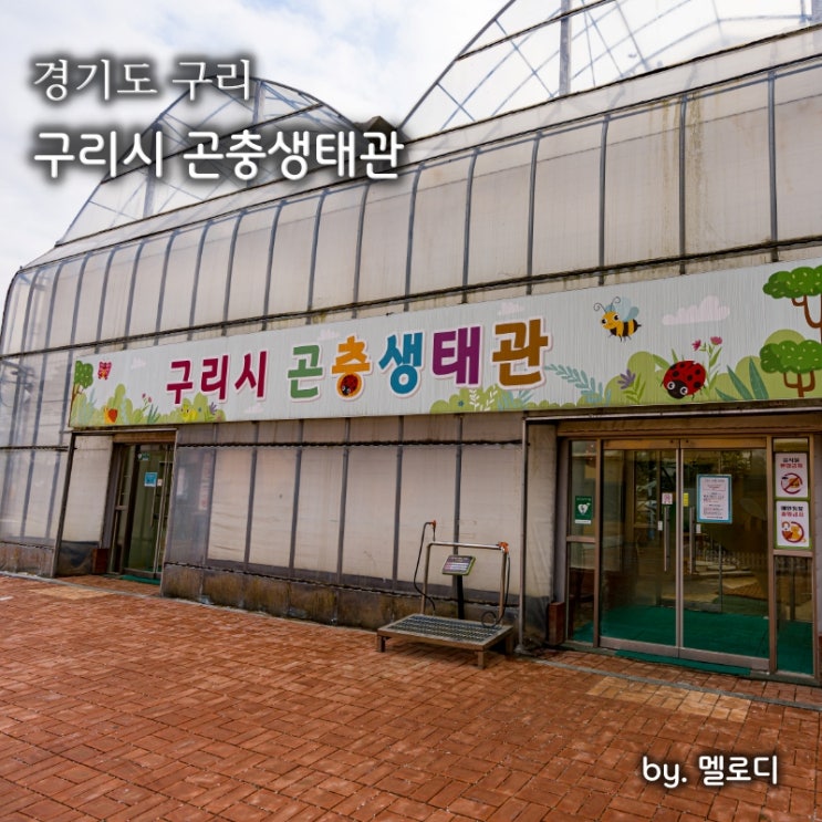 서울근교 아이와 가볼만한곳 구리시 곤충생태관 네이버 블로그