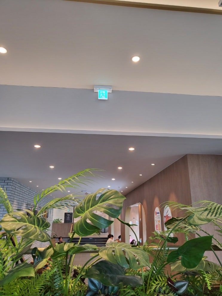 천천히 읽기 세이노의 가르침13회차 젊을수록 아껴라 투썸 스누피 행복 커피 찰리 브라운 바나나 초콜릿 프라페 네이버 블로그