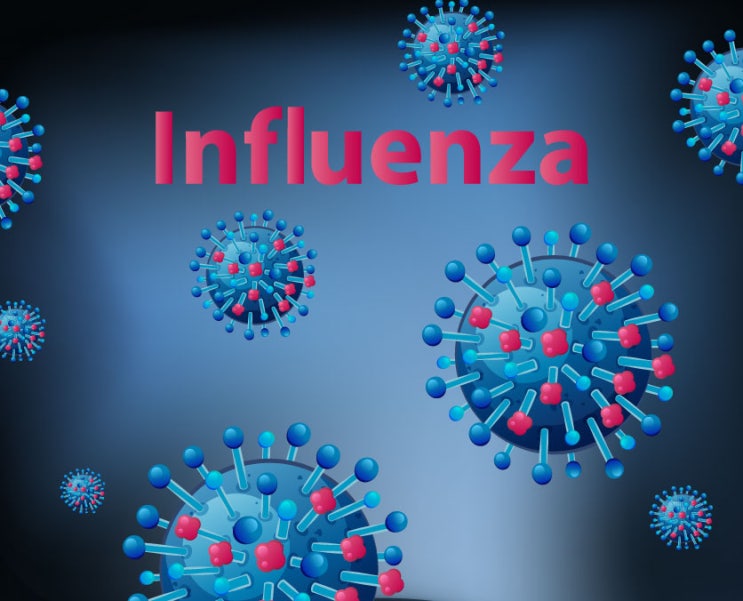 독감(influenza) 증상 및 원인 & 독감(influenza) 치료방법 : 네이버 블로그