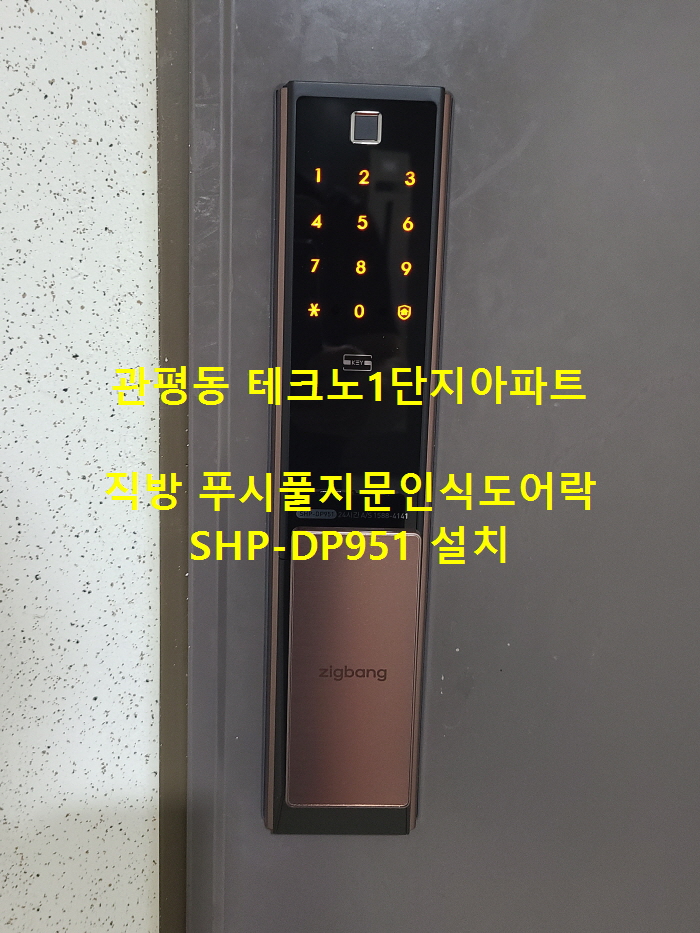 [대전도어락/대전번호키] 관평동 대덕테크노밸리1단지아파트에서 직방 푸시풀지문인식도어락 설치 : 네이버 블로그