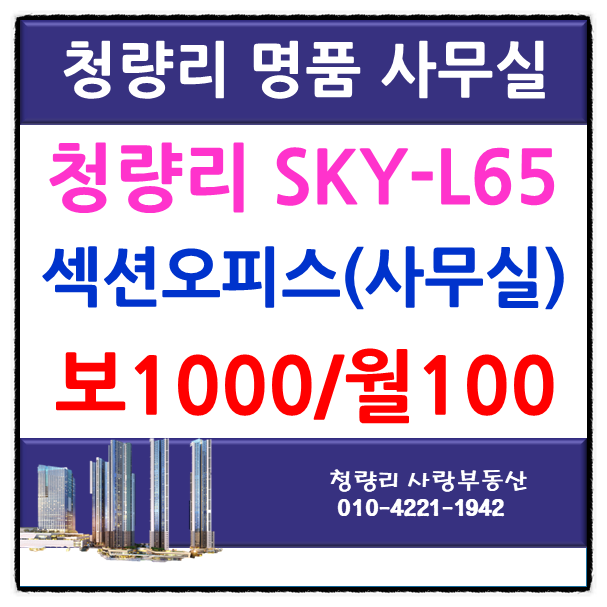 청량리역롯데캐슬스카이SKY-L65 랜드마크 동에 있는 섹션 오피스 보1000/월100 【청량리사무실】 : 네이버 블로그