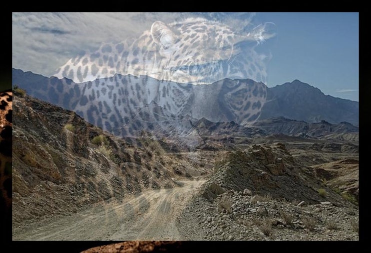 손예진과 현빈 부모의 부동산 보유 현황에 대한 서술적 분석 : 네이버 블로그