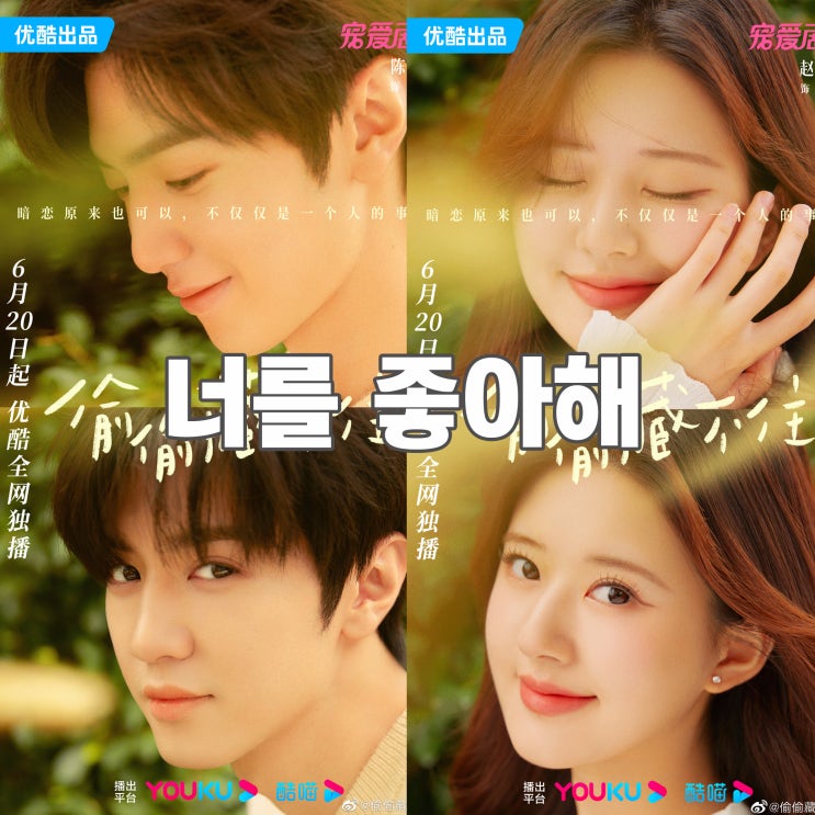 넷플릭스 달달 로맨스 중드추천 너를 좋아해 투투장부주 출연진 조로사 진철원 등장인물 줄거리 정보 네이버 블로그