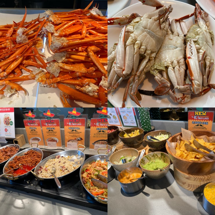 제주 빕스 프리미어 샐러드바 제주도민쿠폰과 통신사 제휴 할인 꿀팁 빕스 샐러드바 빕스 할인 쿠폰 네이버 블로그