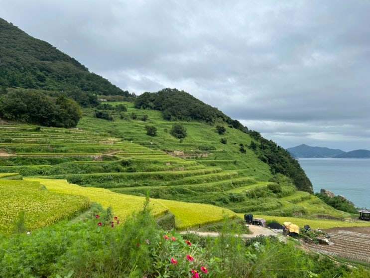 국내 태교여행 2일차 남해 여행코스, 남해 다랭이마을 카페 추천 : 네이버 블로그