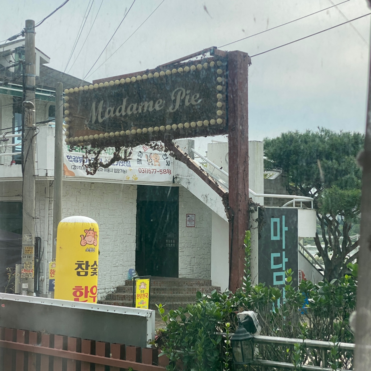 남양주 팔당 애견 동반 카페 마담파이 팔당 셀럽점 파이종류 커피 메뉴 주차 네이버 블로그