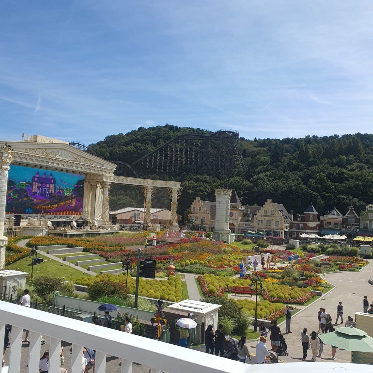 [용인에버랜드] 에버랜드 판다월드 푸바오 보러다녀온 후기♡ T익스프레스/ 아마존익스프레스/ 사파리투어 즐거웠던 주말 나들이 ...