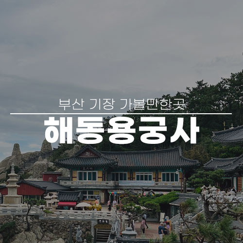 부산 기장 가볼만한곳 해동용궁사 주차 시간 입장료 방문 관람 코스 네이버 블로그