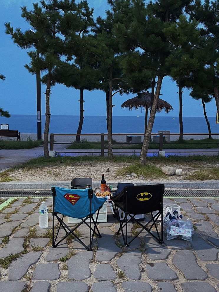 경북경주 감포 나정고운모래해변 오토캠핑장 차박 카라반 샤워실 감포해수탕 네이버 블로그