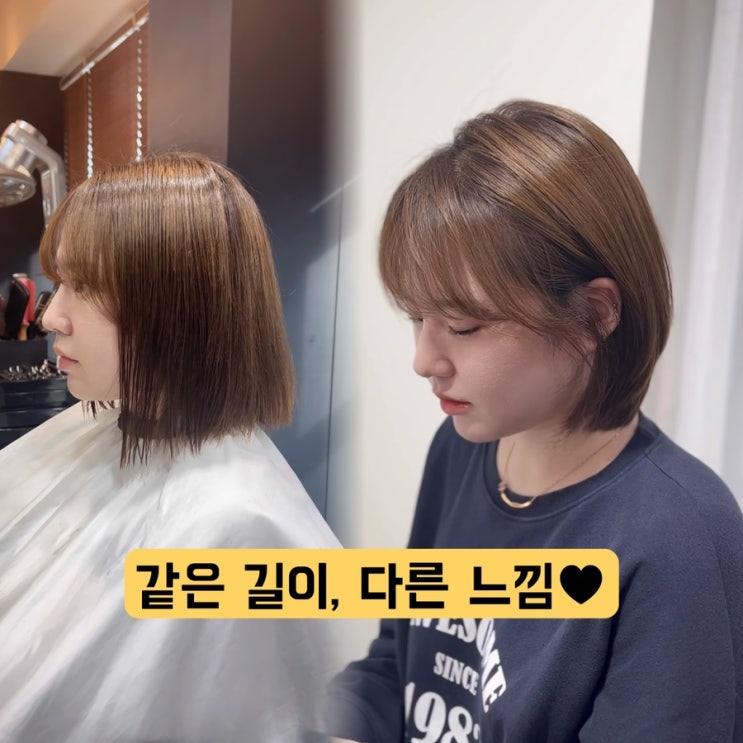 부산 셀린펌 맛집 하트시그널 김지영 머리 단발 레이어드는 비투제이헤어 은희점장 네이버 블로그