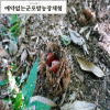 서울근교 밤줍기 경기도 군포밤농장체험 예약없음 준비물 네이버 블로그