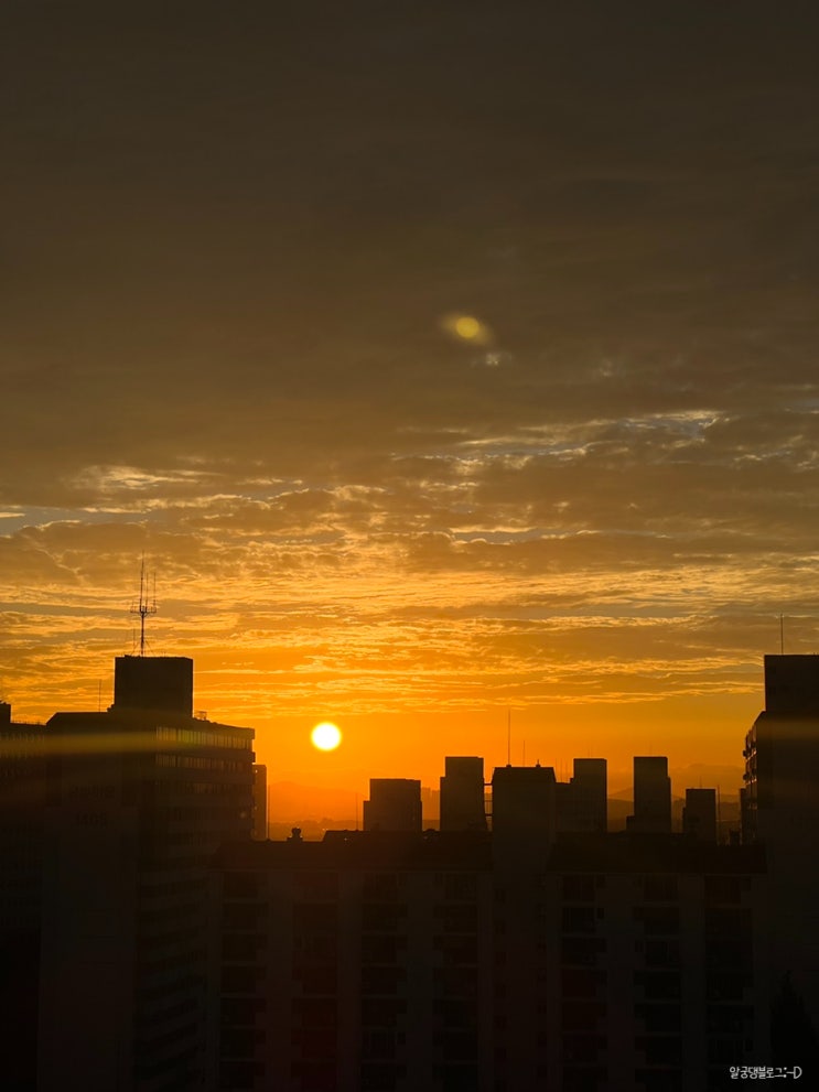 주간일기 :: 230918-230924 : 네이버 블로그