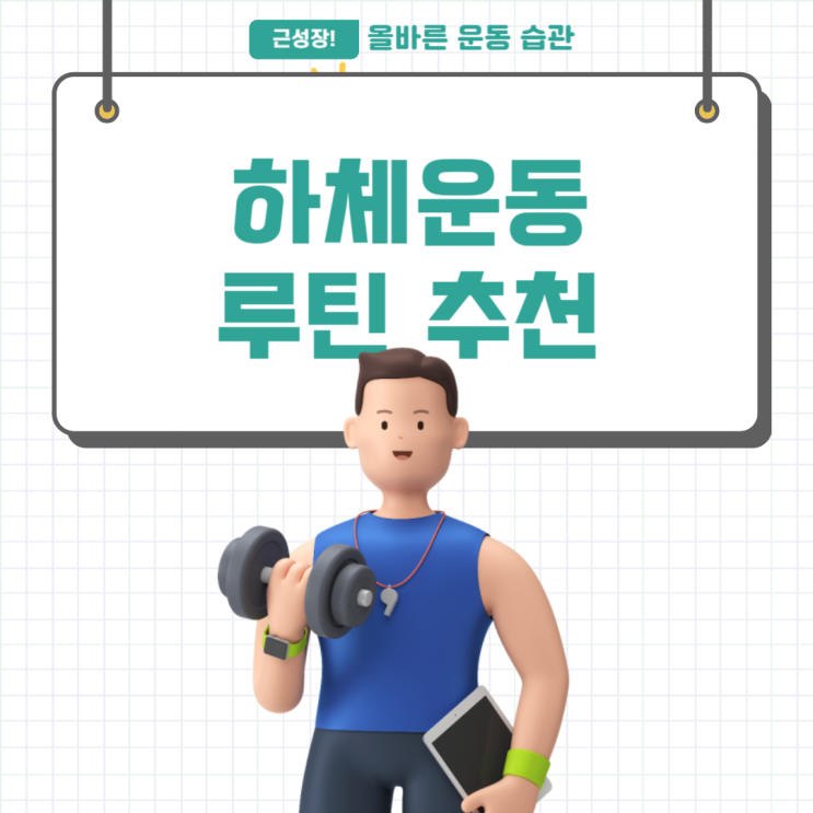 남자 여자 헬스장 하체 운동 루틴 머신 기구 종류 순서 프리웨이트 맨몸 대퇴사두근 햄스트링 둔근 및 종아리 근육 가동