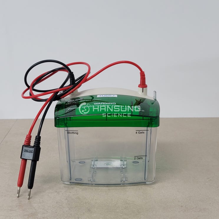 BIORAD Mini-PROTEAN Tetra Cell System with Accessories , 전기영동장치 (HJ056 ...