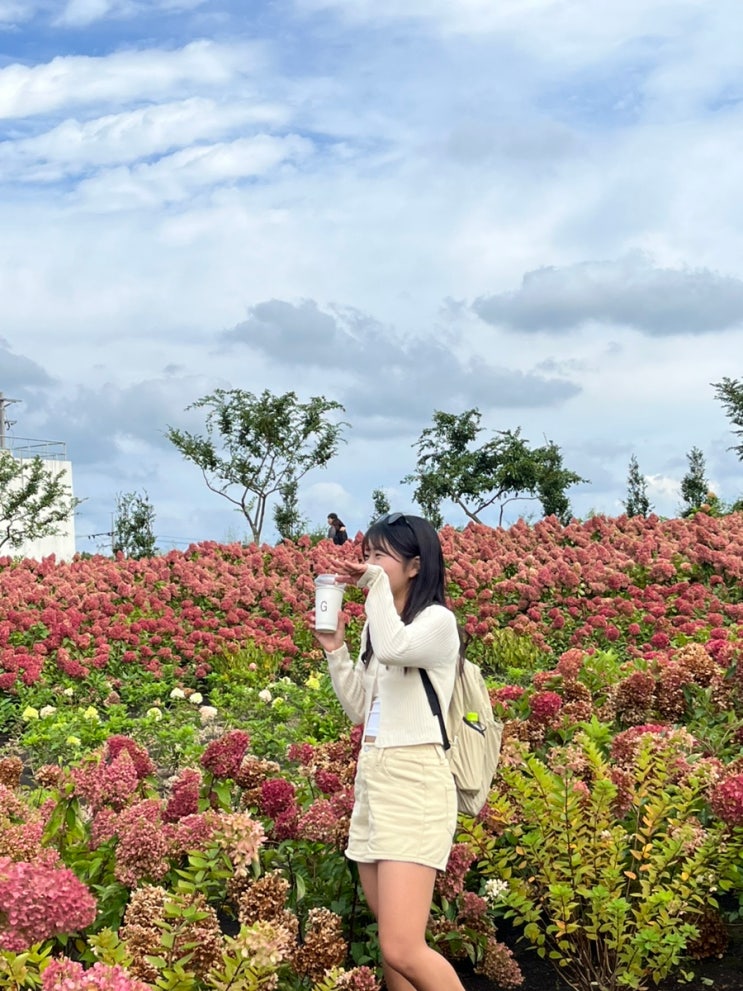 9월의 제주도 나머지날들도 역시 완벽해 : 맛보기용 2탄🩵 : 네이버 블로그