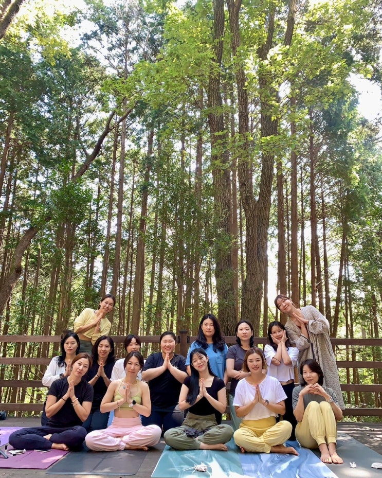 부산숲요가 부산야외요가 부산요가 요가출강 부산기업요가 부산원데이요가 요가클래스 부산출강 네이버 블로그