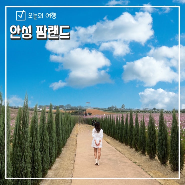 가을 당일치기 여행 안성팜랜드 코스목동축제 추석운영 안내부터 할인꿀팁 : 네이버 블로그