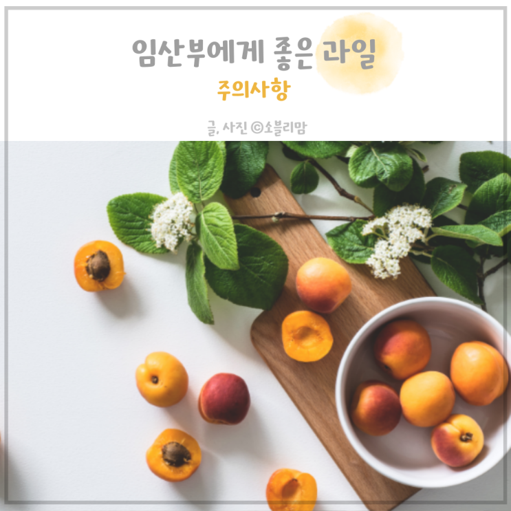 임산부 과일 간식 파인애플 바나나 복숭아 참외 자몽 수박 임신당뇨 임당 괜찮을까 네이버 블로그