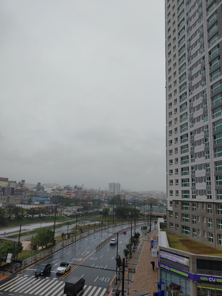 쓸쓸함에 대하여 : 네이버 블로그